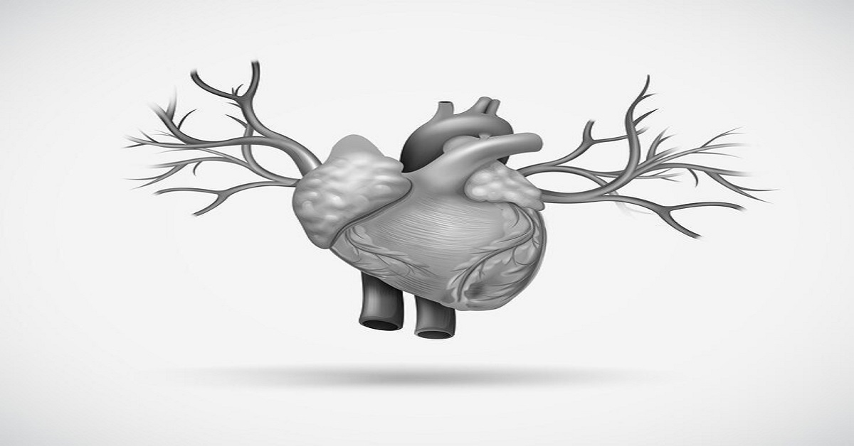 Why Angiography Is Crucial for Accurate Heart Diagnosis